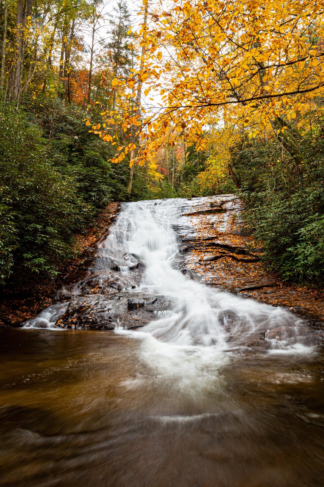 Autumn Lower Desoto Falls Mountains Forest Blue Ridge - Etsy