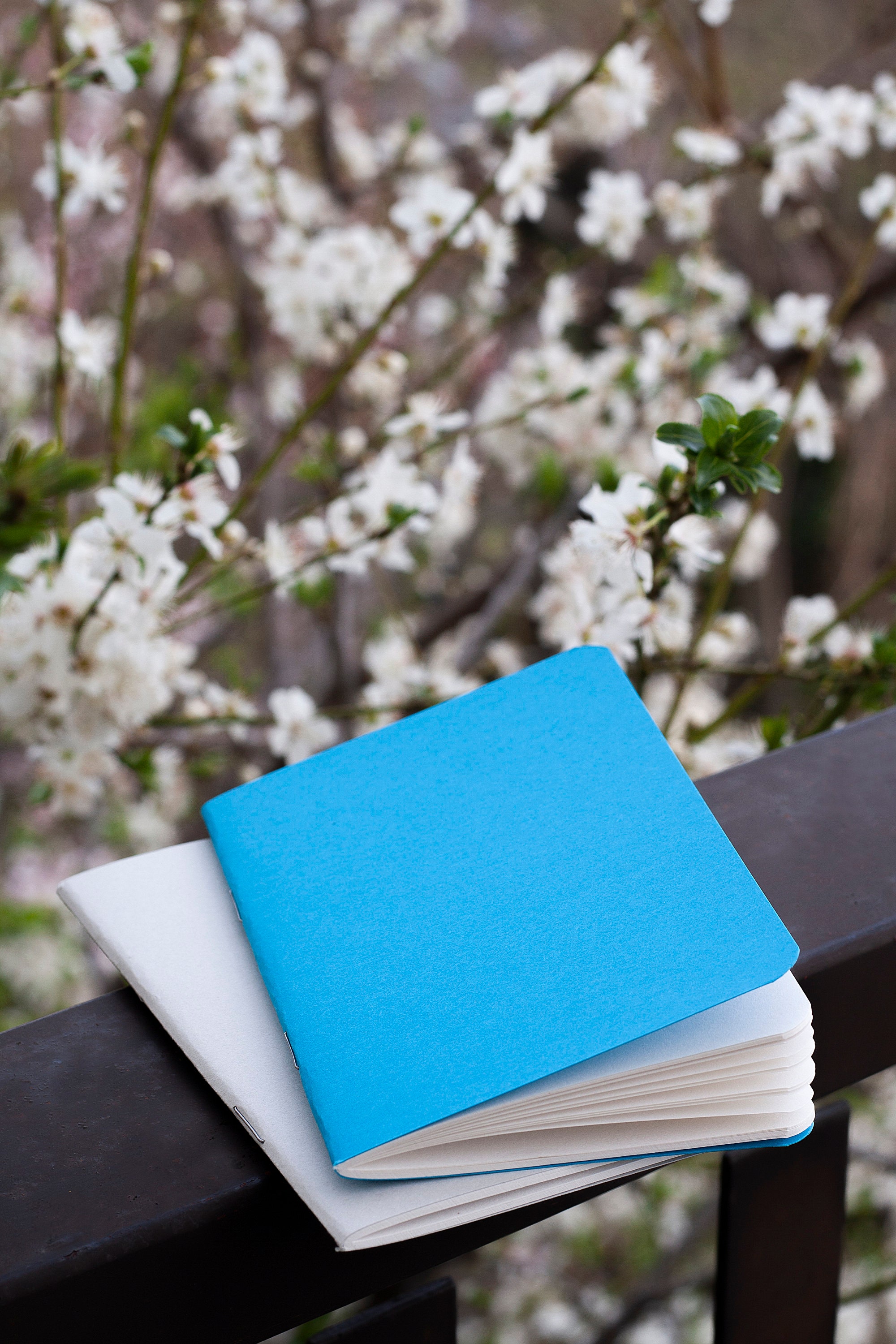 Colored Stapled Notebooks, 80 Gr - Etsy