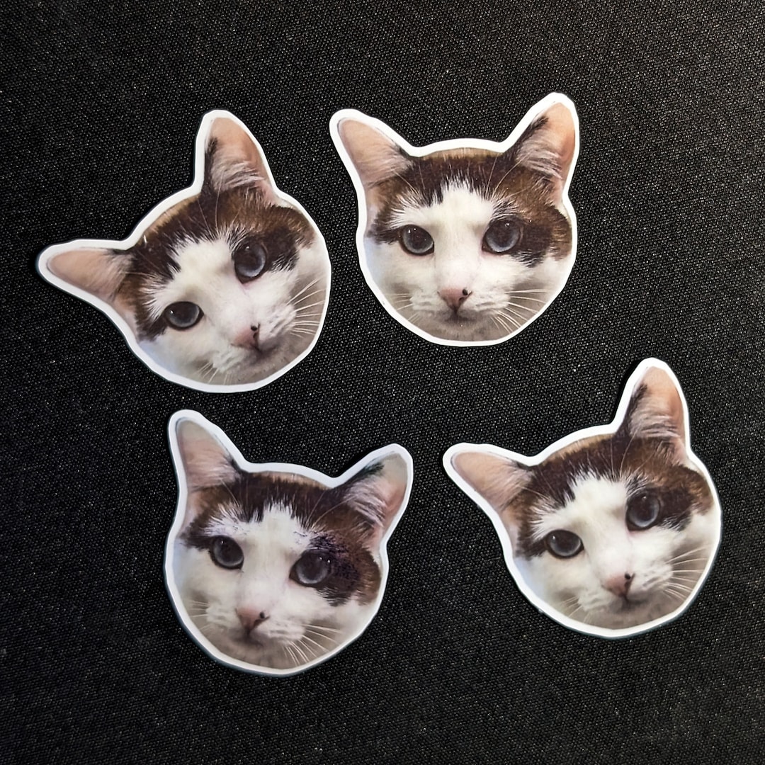 Your Pet's Face Stickers Dog and Cat Decals Sets for - Etsy
