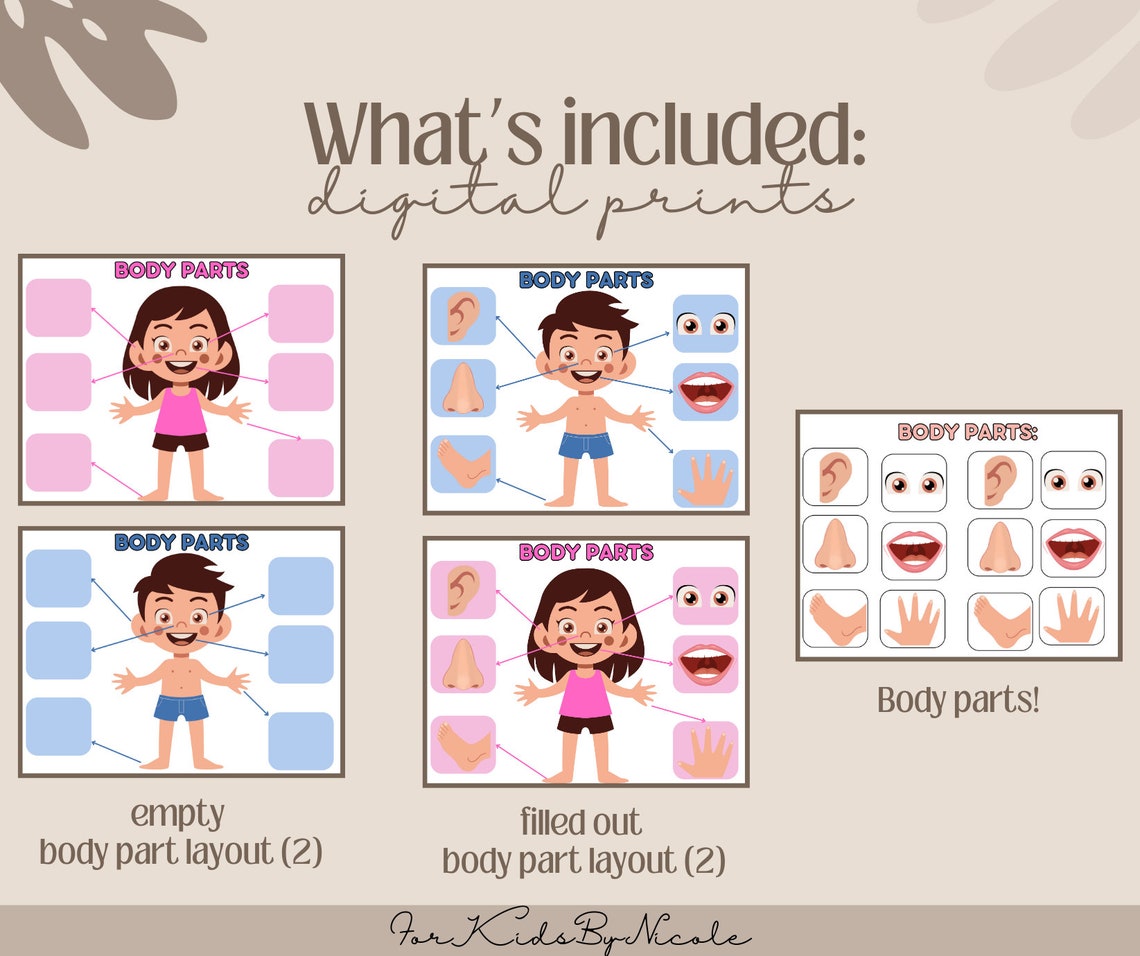 Body Parts Matching for Toddlers, Body Parts Activity, Body Parts ...