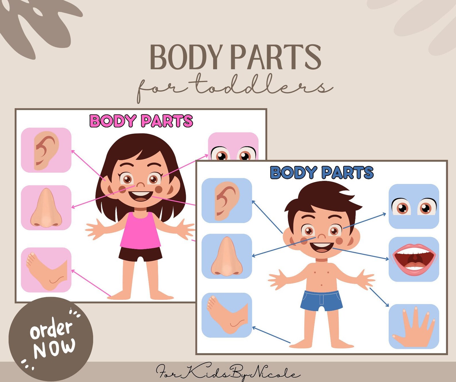 Body Parts Matching for Toddlers, Body Parts Activity, Body Parts ...