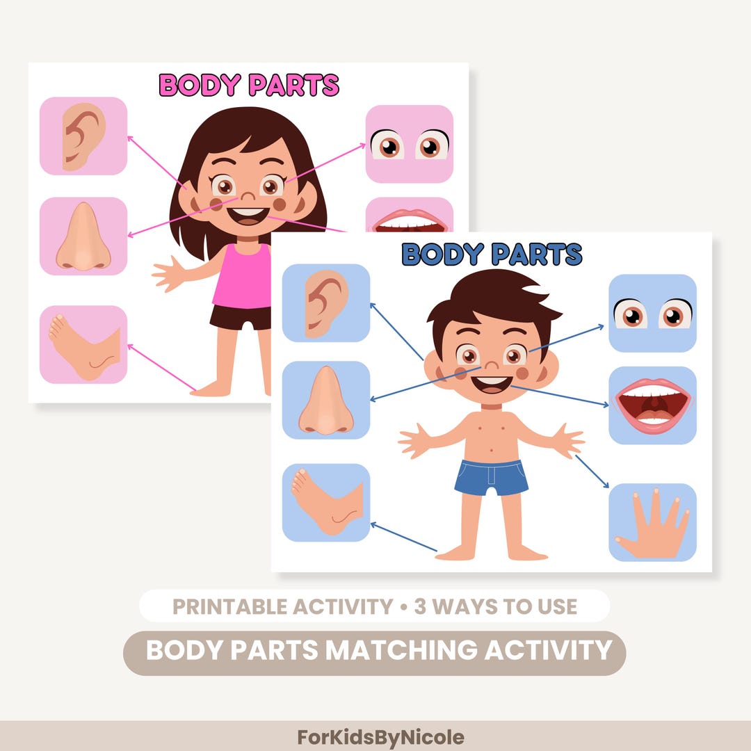 Body Parts Matching Activity for Toddlers (digital Download) - Etsy