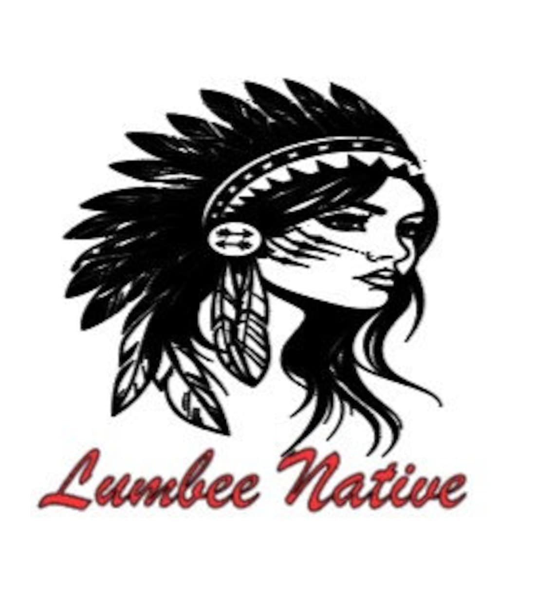 Indigenous Woman, Lumbee Native, Native American T-shirt, Gift ...