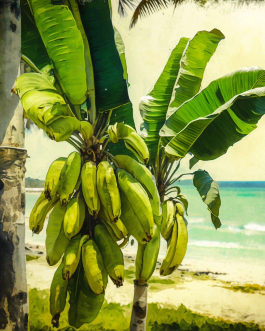Platanos Verdes Dominican Republic Platanos Tree Watercolor - Etsy