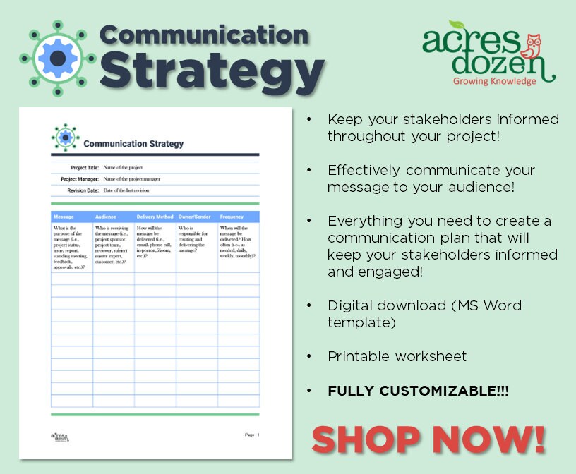 Project Management: Communication Strategy Template (DIGITAL DOWNLOAD ...