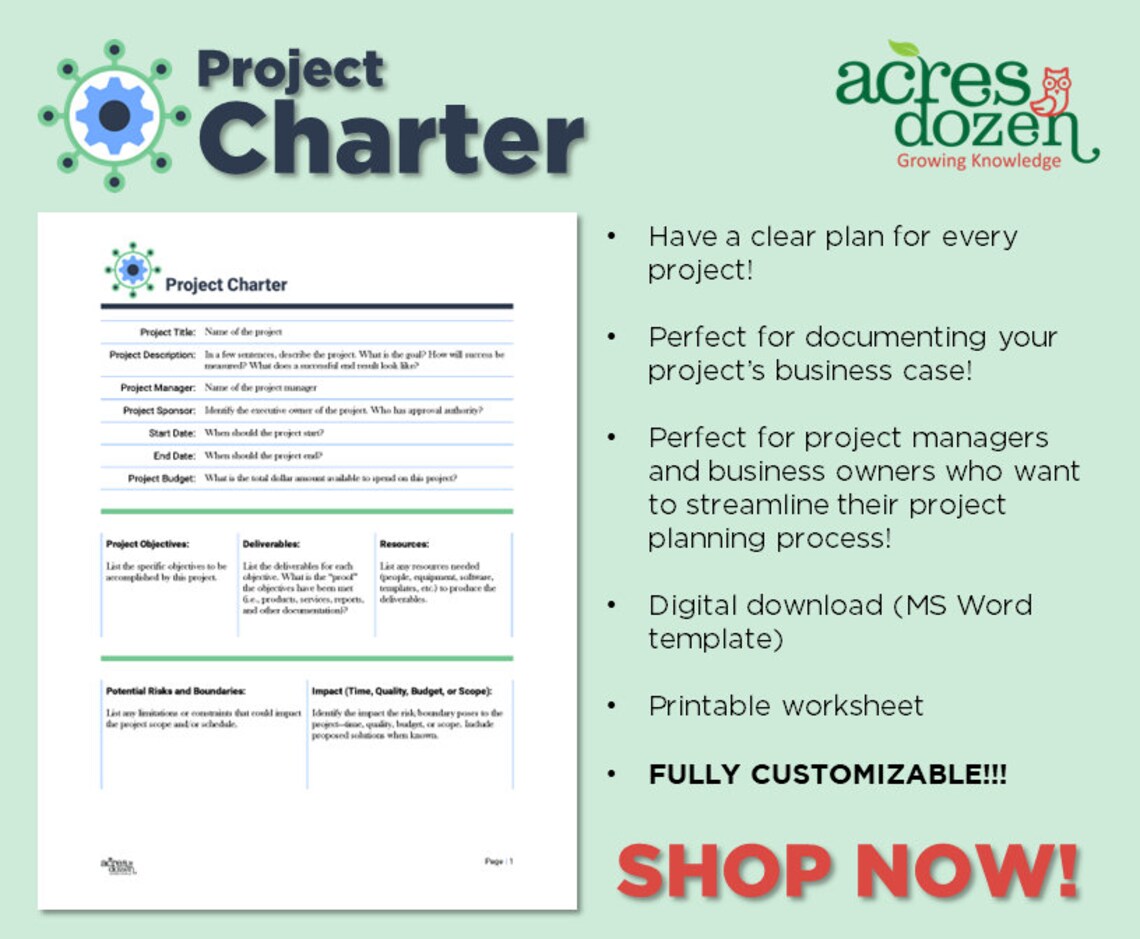 Project Management: Project Charter Template (digital Download) - Etsy