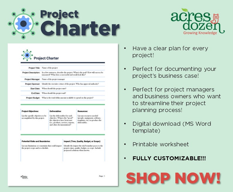 Project Management: Project Charter Template (digital Download) - Etsy