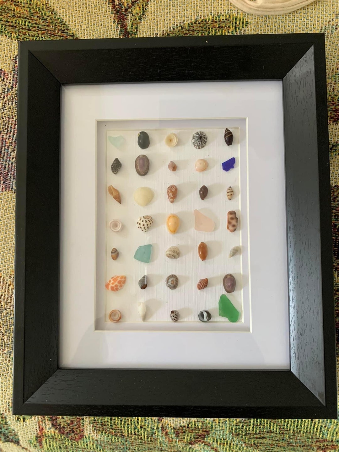 Shell and Glass Grid 5x7 Black - Etsy