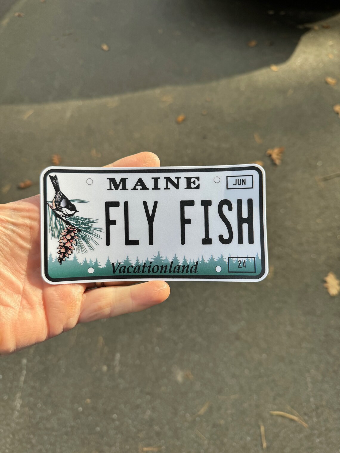 Maine FLY FISH License Plate Sticker, Great Fly Fishing Gift, 2 Sizes ...