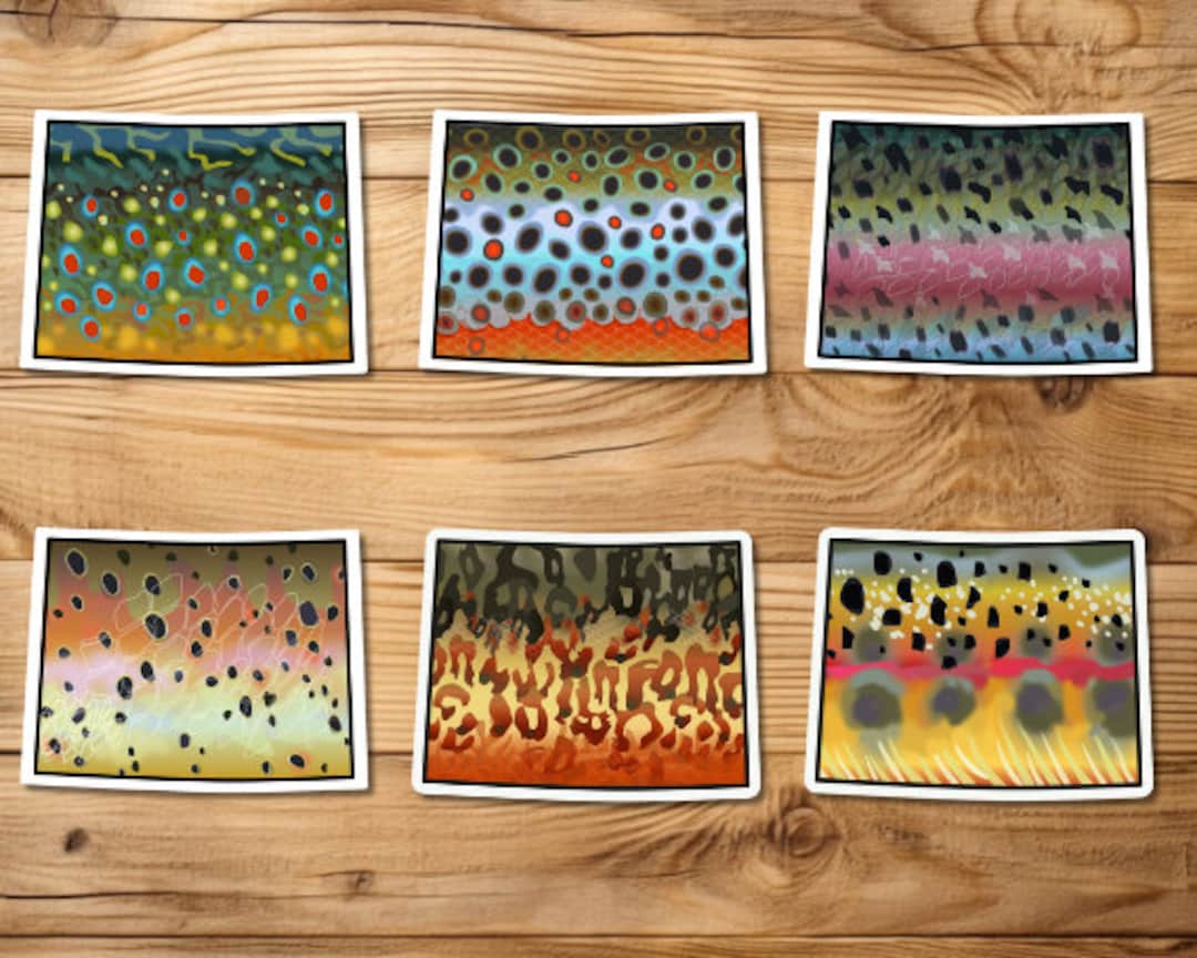 Wyoming Trout Fly Fishing 6-sticker Set, Bumper Stickers, Truck, Boat ...