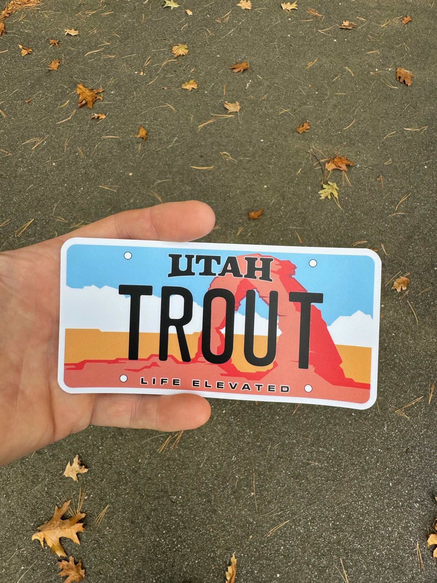 Utah Trout Fly Fishing Sticker, Classic Utah Arches National Park ...