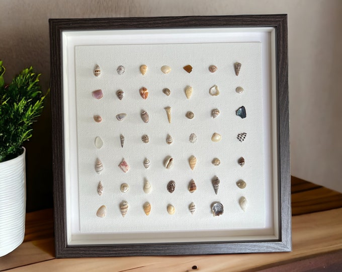 Shell Collage in 9x9 Shadowbox "maui" - Etsy
