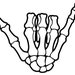 Shaka Skeleton Hand, Skeleton Hand Logos, Skeleton Hand Gestures ...