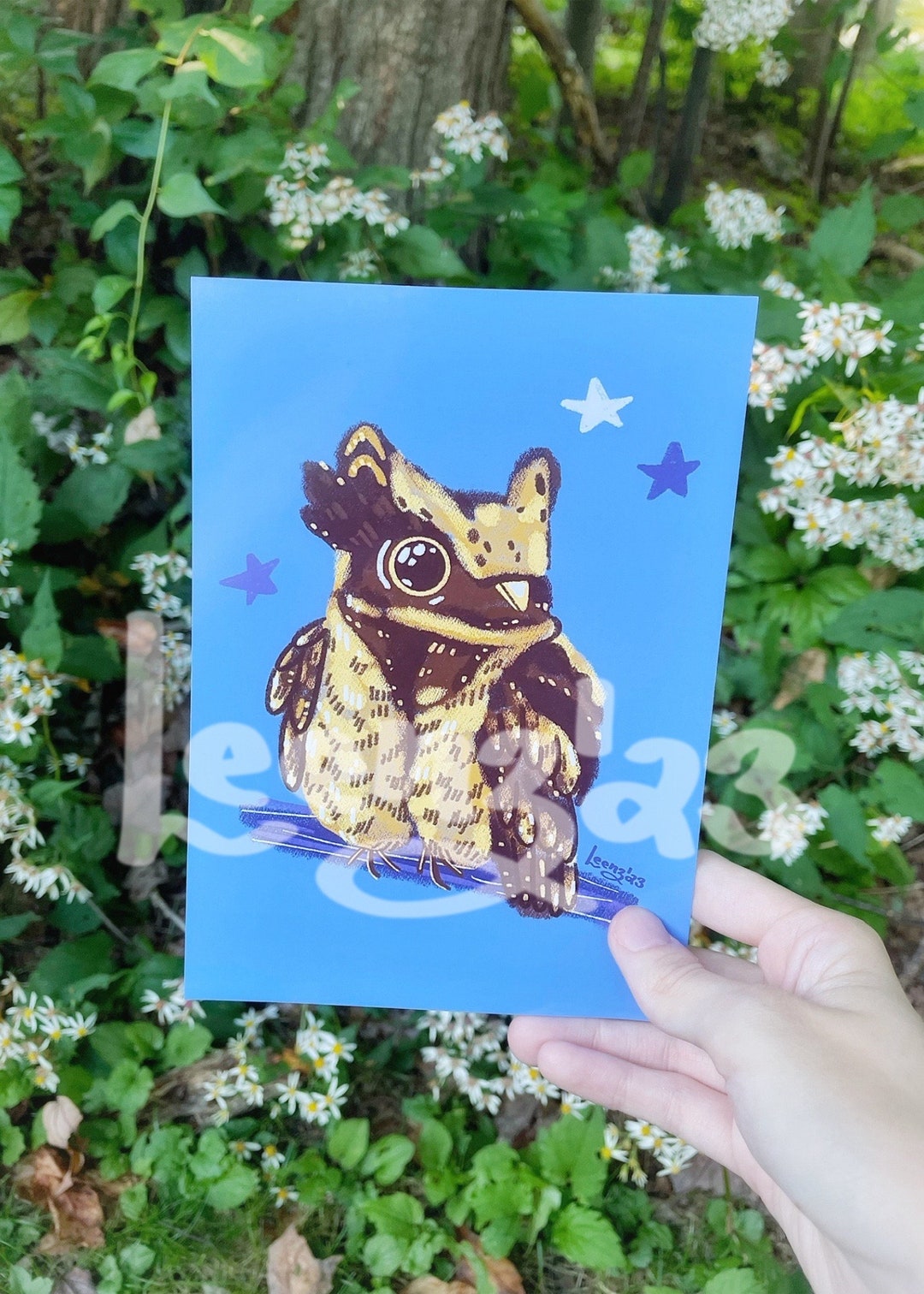 Great Eared Nightjar Art / Owl Art Print / Bird Art Print / Funny Birds ...