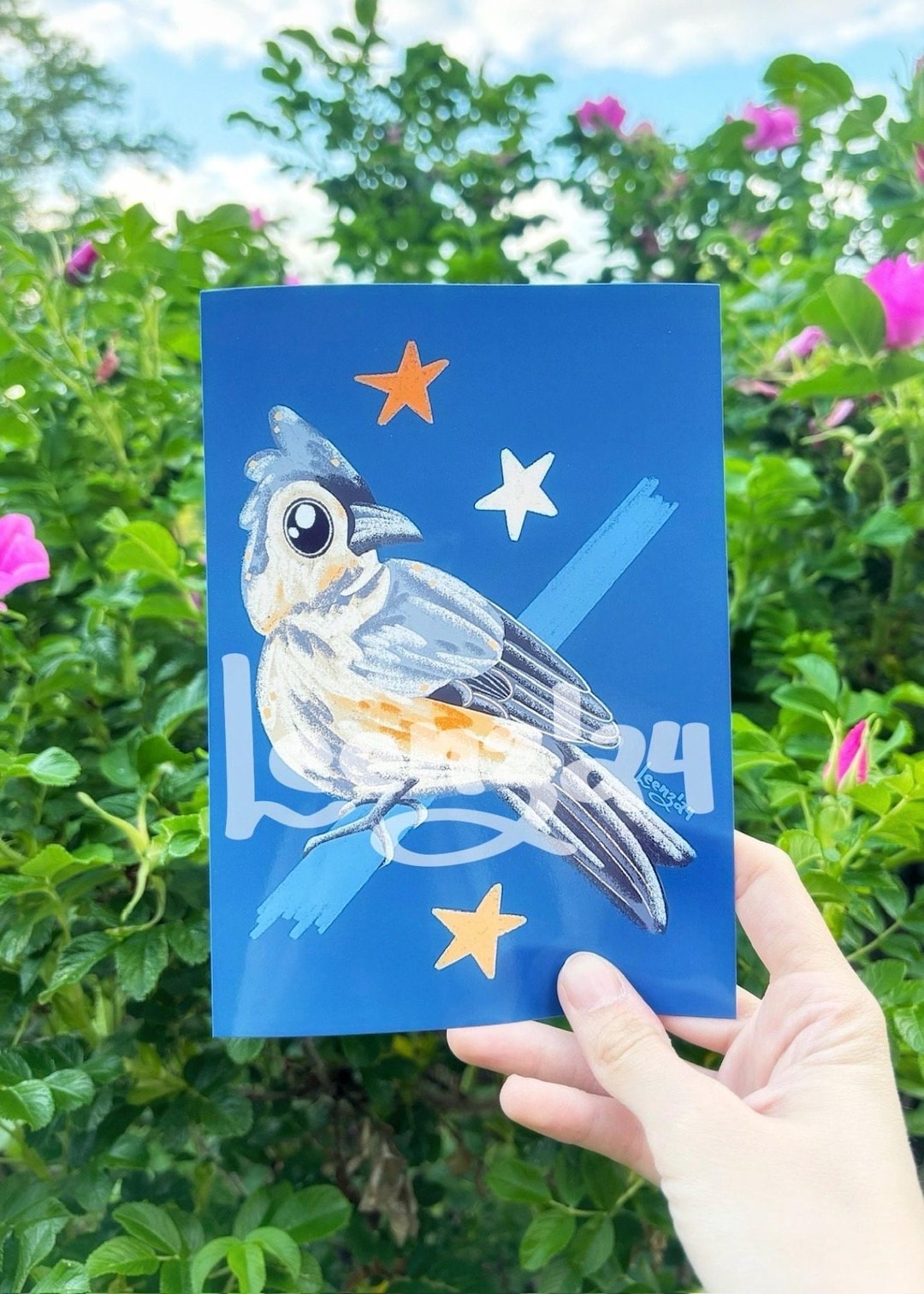 Tufted Titmouse Art / Titmouse Sticker / Bird Sticker / Funny Birds ...