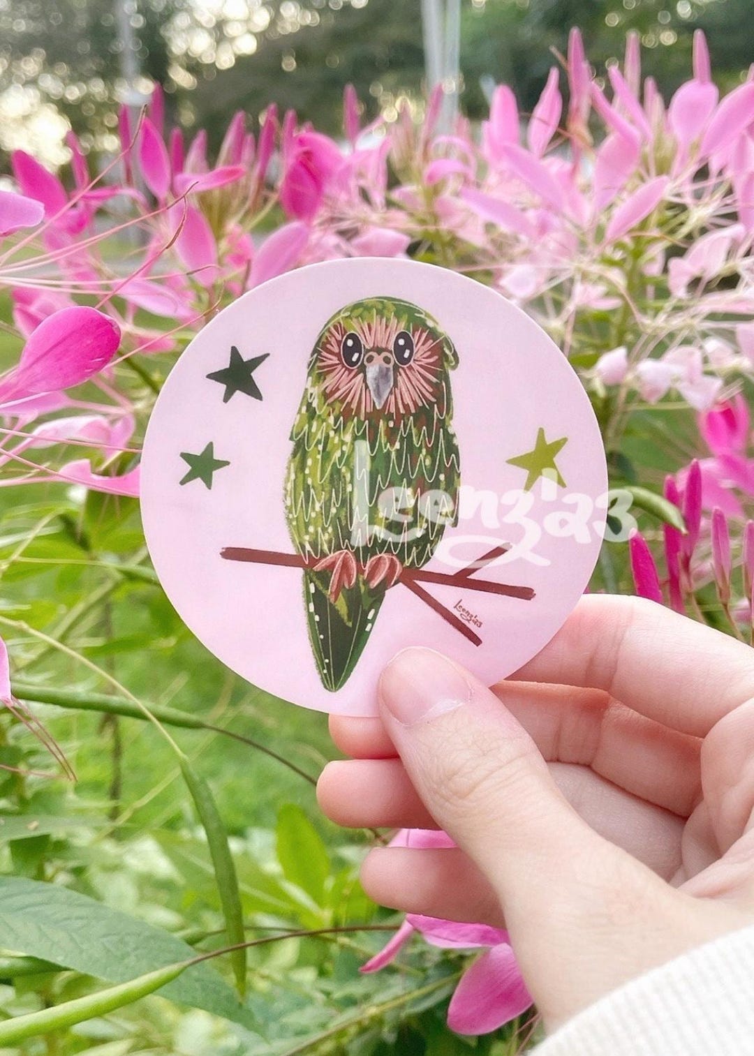 Kakapo Art / Bird Sticker / Funny Birds / Waterbottle Sticker / Laptop ...
