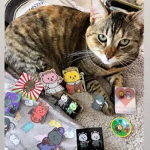 Jason Voorhees Kitty / Horror Movies / Cat / Hydroflask - Etsy