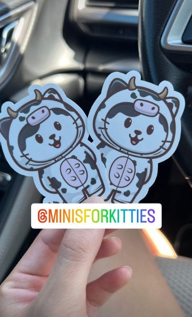 The Lich King Kitty / World of Warcraft / Cat / Hydroflask Sticker ...