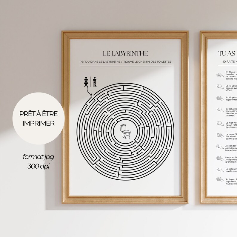 Toilet Poster X2 to Print: Maze Poster, WC Poster 10 Key Facts About ...