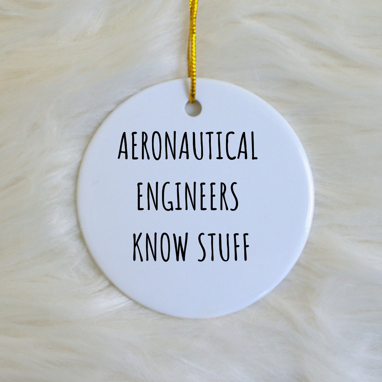 Aeronautical Engineers Ornament, Hanging Ornament for Aeronautical ...