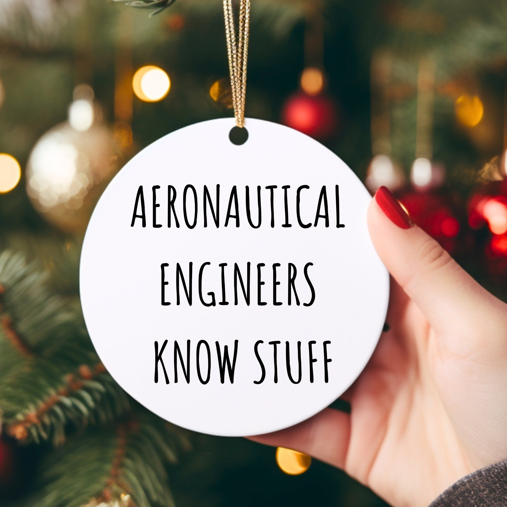 Aeronautical Engineers Ornament, Hanging Ornament for Aeronautical ...