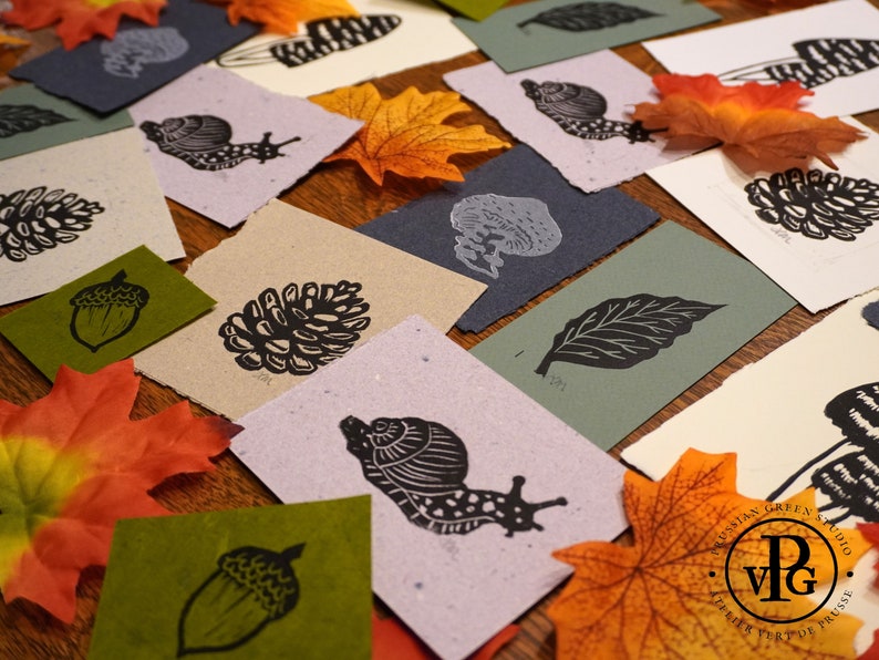 Snail Pinecone Acorn Original Linocut Mini Print Pack, Woodland ...