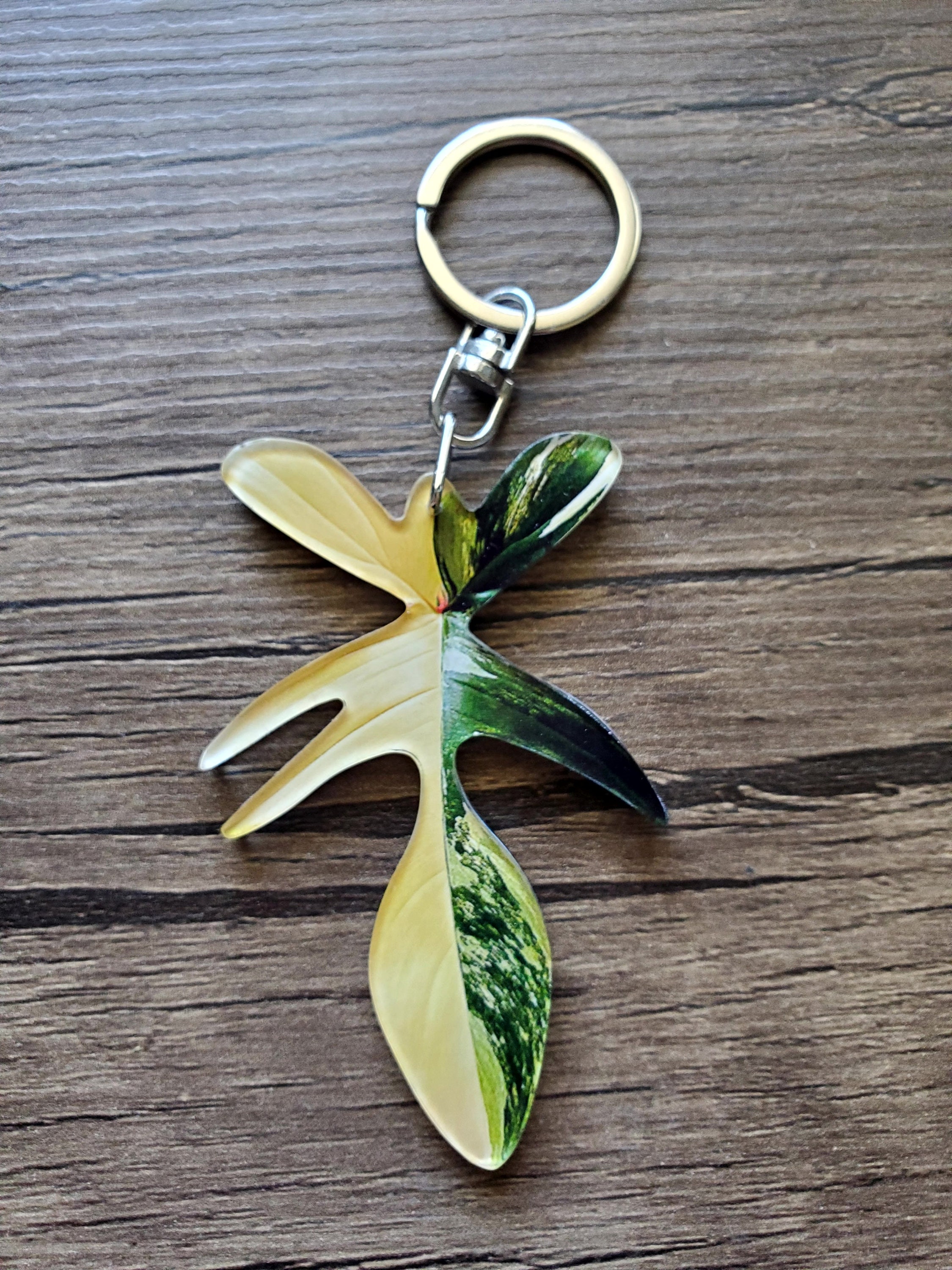 Keychain Houseplants - Etsy