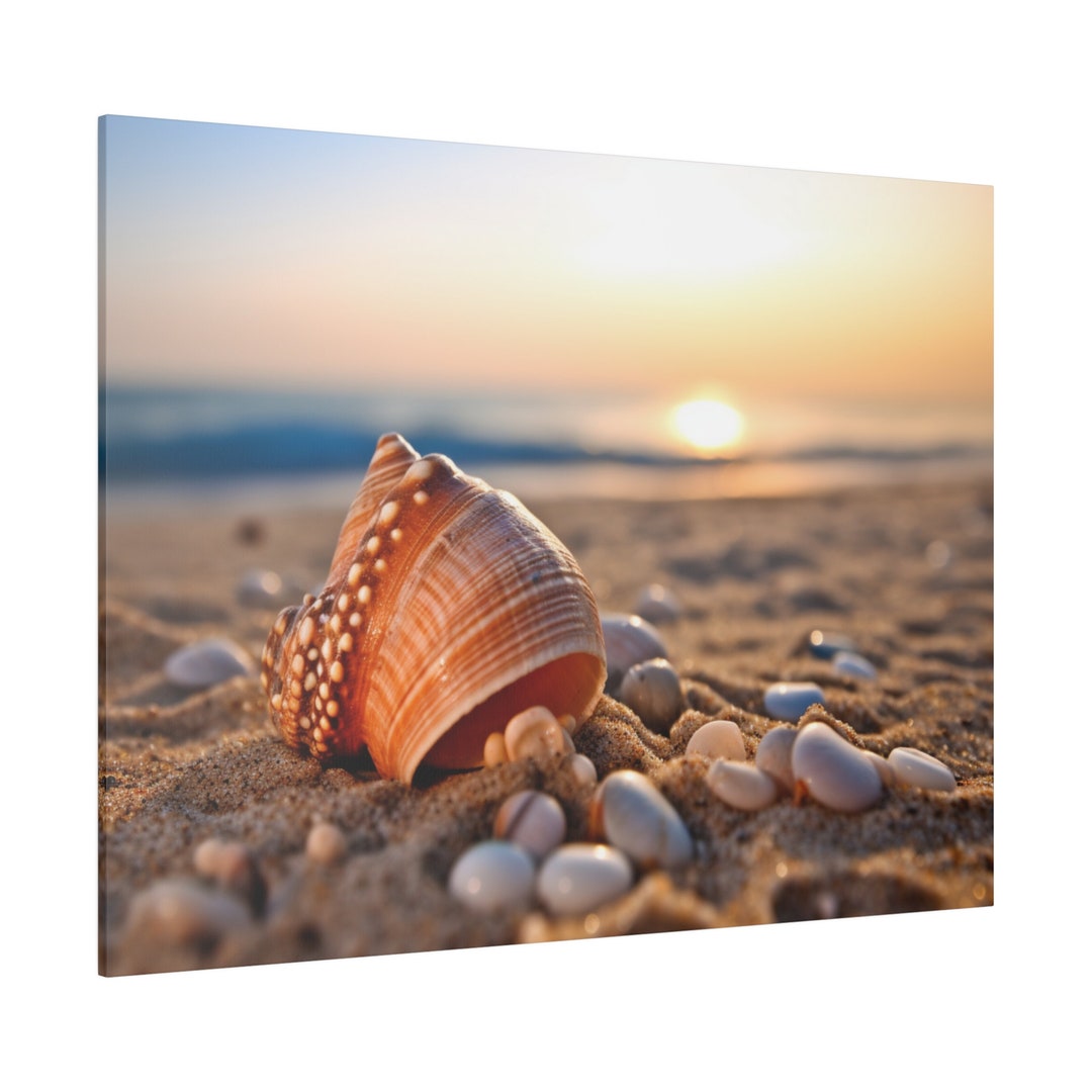 Seashell Art Beach Art Modern Wall Art Ocean Art House Warming Gift ...
