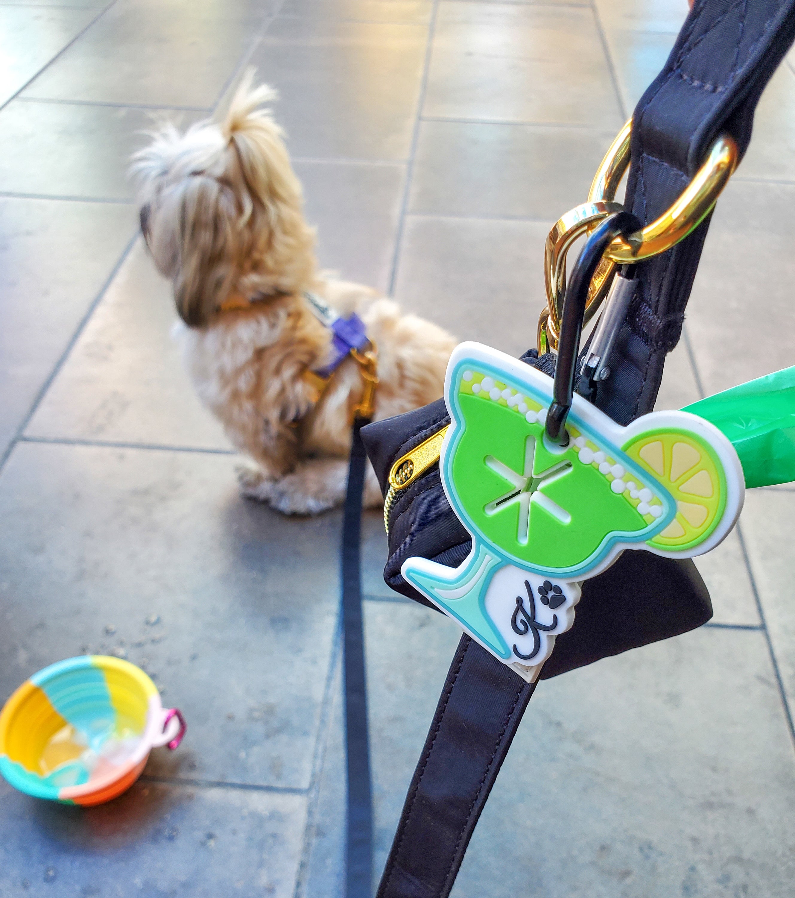 Hands-free Dog Waste Carrier Dog Walking Accessories for Used Poop Bags ...