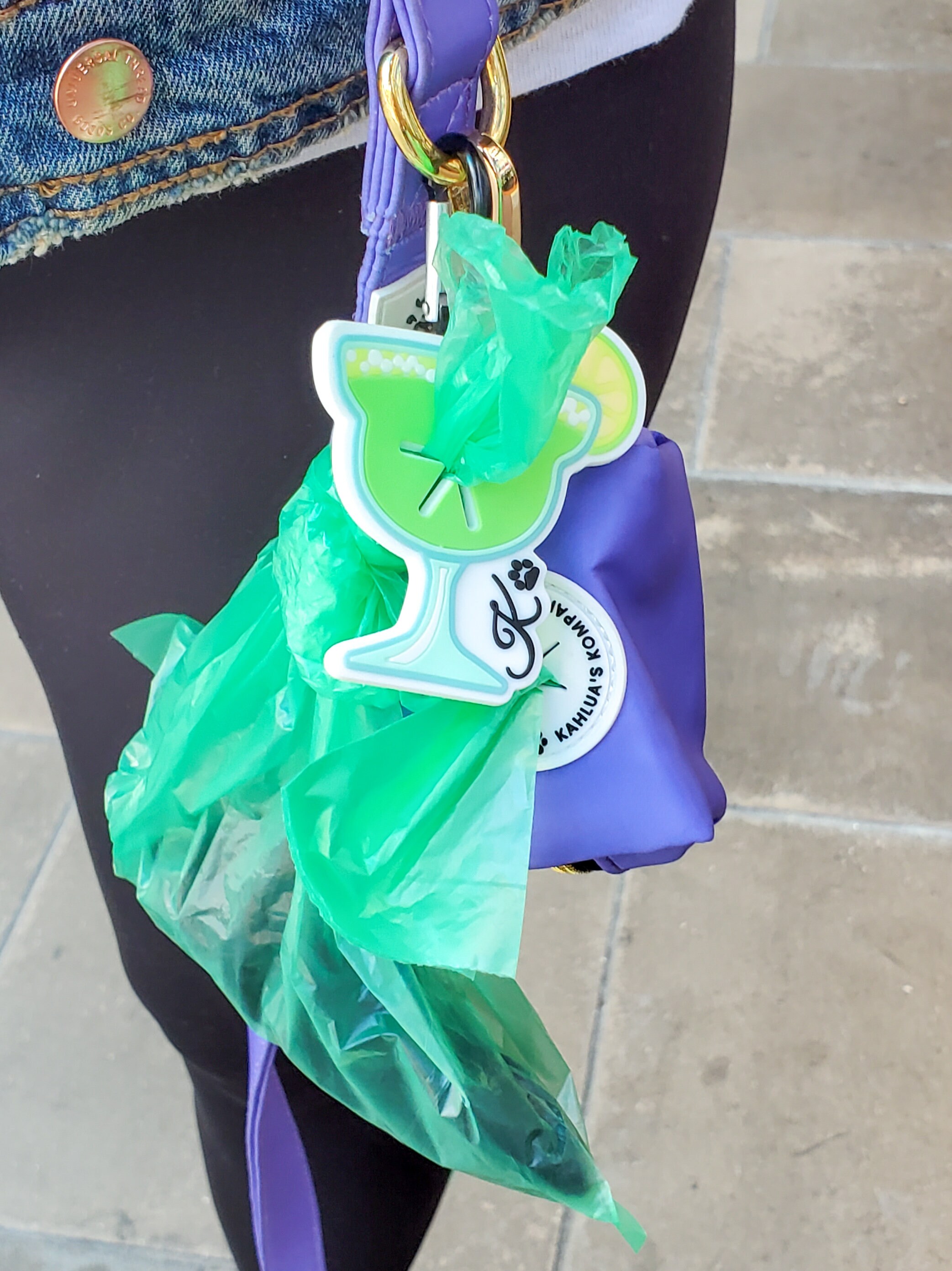 Hands-free Dog Waste Carrier Dog Walking Accessories for Used Poop Bags ...