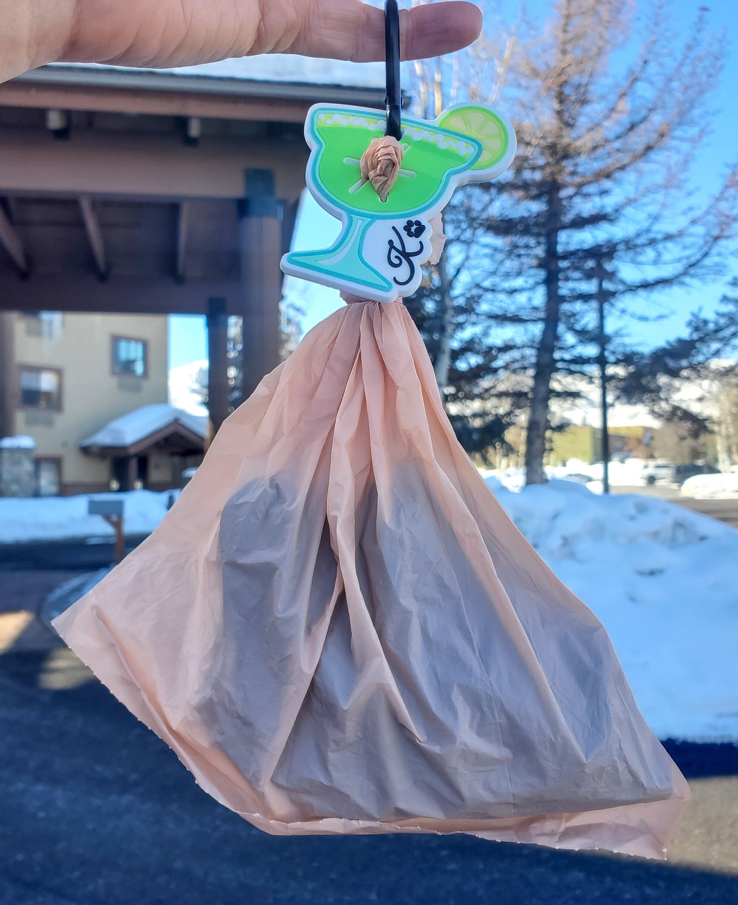 Hands-free Dog Waste Carrier Dog Walking Accessories for Used Poop Bags ...