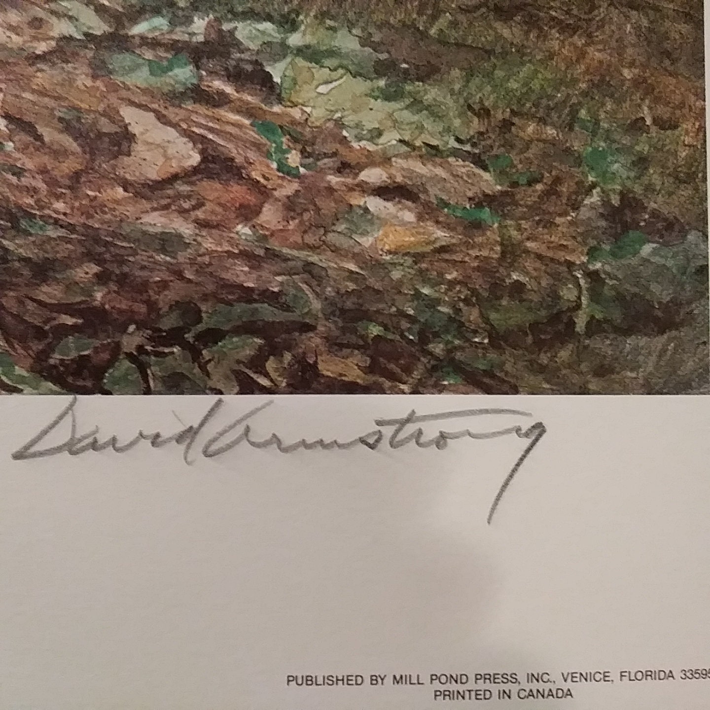 DAVID ARMSTRONG pumpkin Pines, Signed and Numbered 115 Vintage New 1987 ...