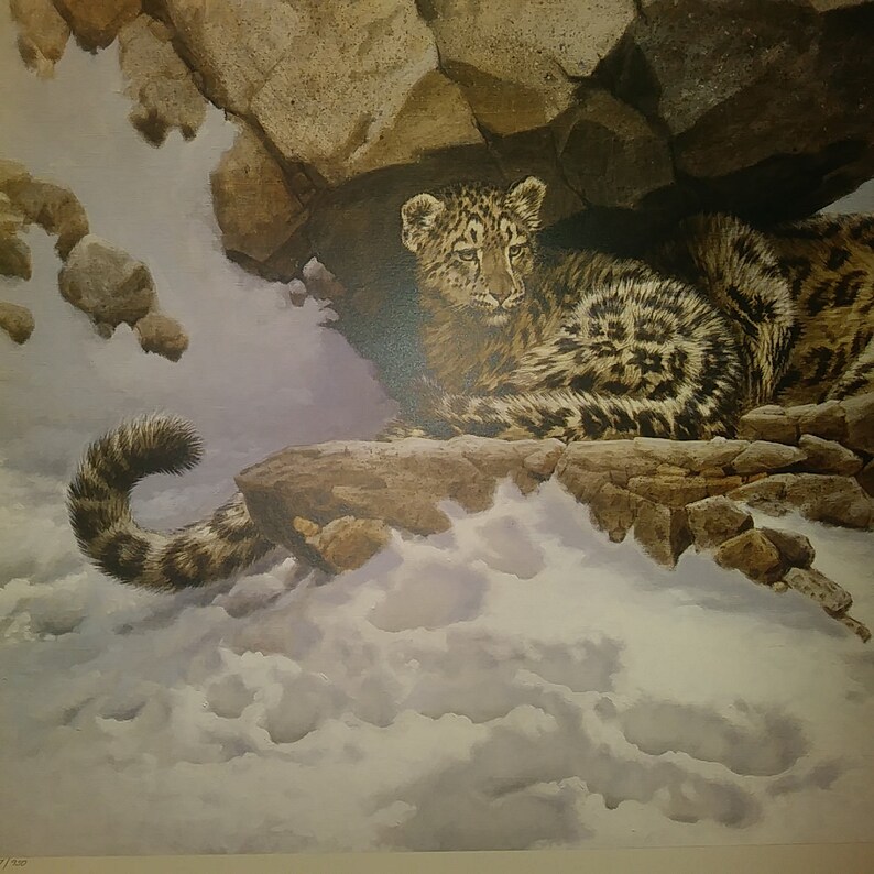 GUY COHELEACH Snow Leopards den Mother, Hand Signed and Numbered 547 Vintage New 1987 36x23 ...