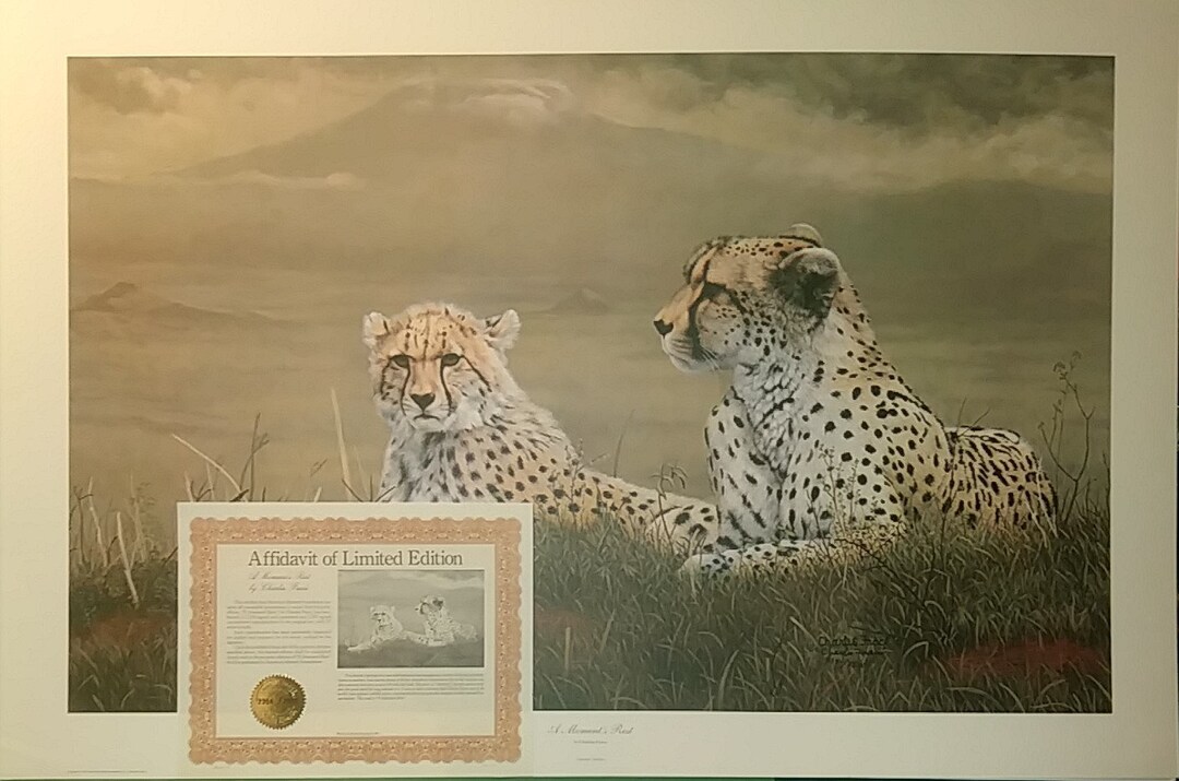 CHARLES FRACE Cheetahs a Moment's Rest, Signed, Numbered 2354 1983 ...