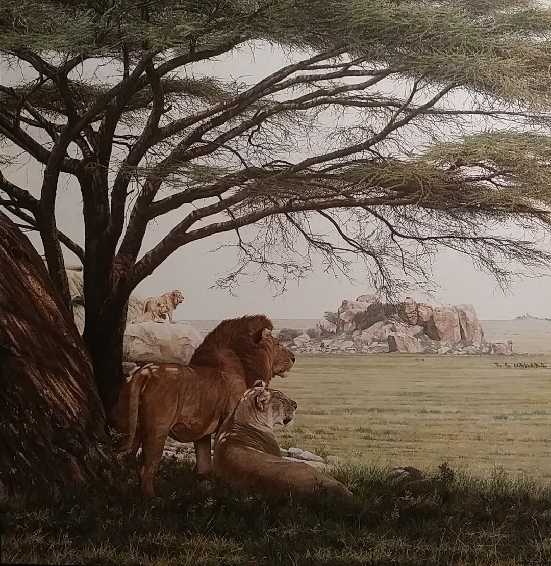 SIMON COMBES Lions "pride of the Serengeti: an African Experience ...
