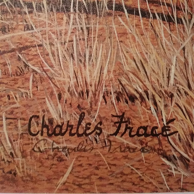 CHARLES FRACE "cheetah", Hand Signed Limited Edition, Vintage New 1977 ...