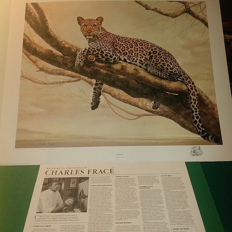 CHARLES FRACE "leopard" Panthera Pardus, Signed, Numbered, Remarqued ...