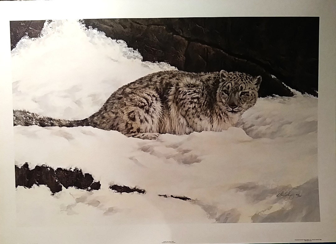 MORTEN E. SOLBERG Snow Leopard "where the Trail Ends", Hand Signed and ...