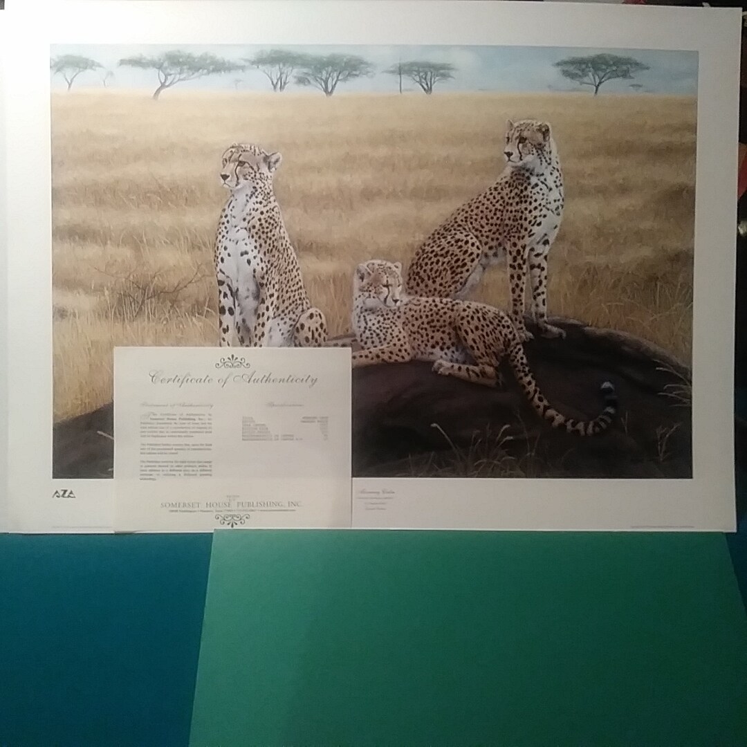 Charles Frace Cheetahs "morning Calm", Signed, Numbered, ARTIST PROOF ...