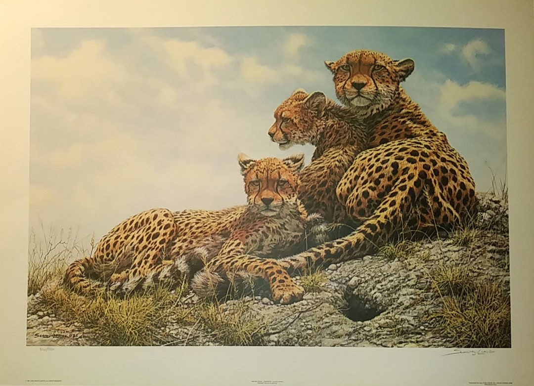 John SEEREY-LESTER Cheetahs "kenyan Family", Signed and Numbered (#316 ...