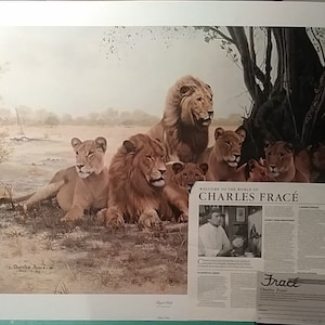 CHARLES FRACE Lions "royal Pride", Signed and Numbered (#1179) Vintage ...