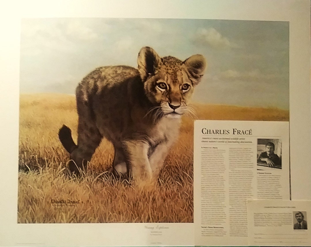 CHARLES FRACE Lion Cub "young Explorer" Signed, Numbered (#1888) 1983 ...