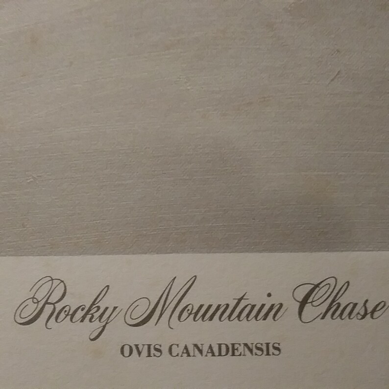 GUY COHELEACH Cougar, Puma, rocky Mountain Chase, Signed, Numbered 571 ...