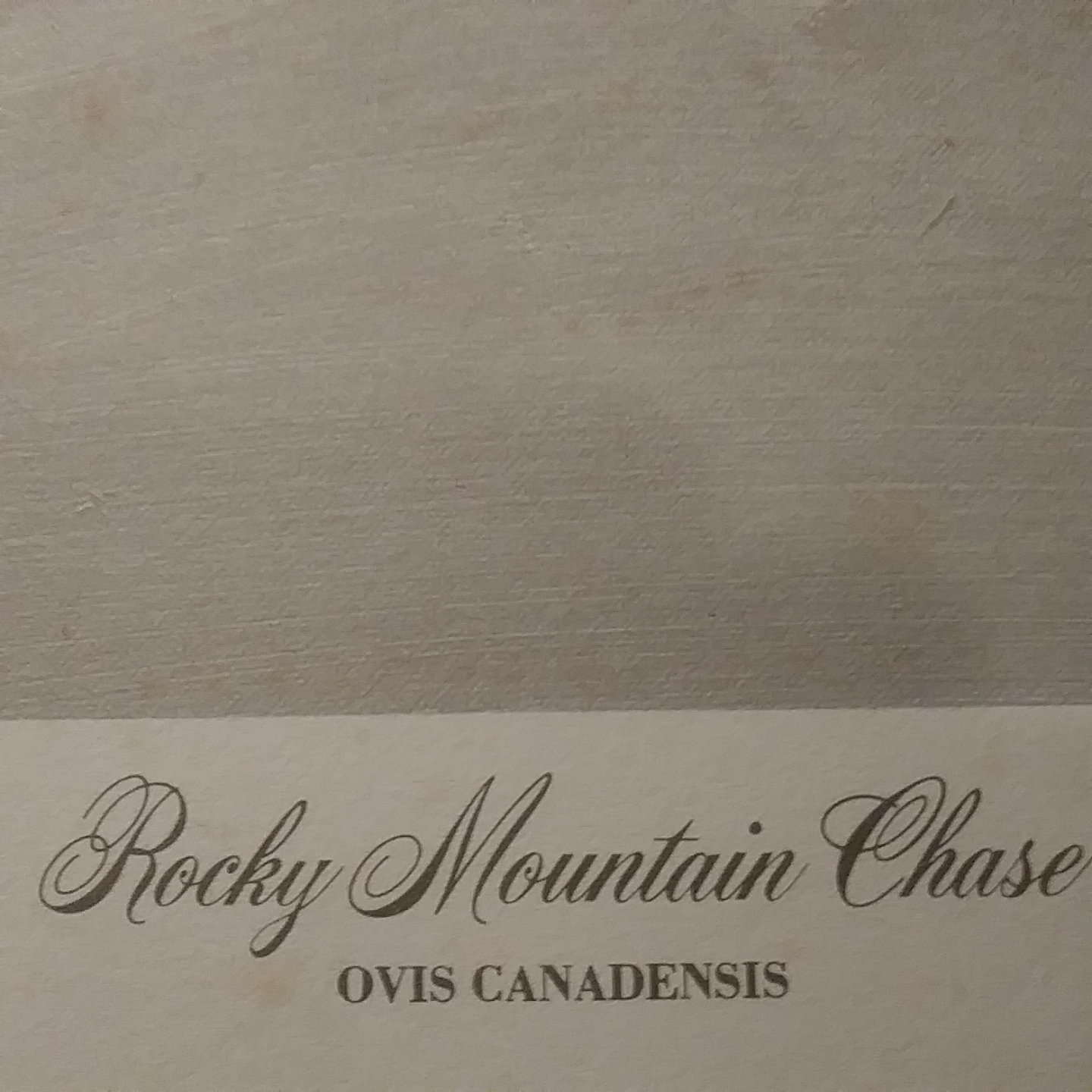 GUY COHELEACH Cougar, Puma, rocky Mountain Chase, Signed, Numbered 571 1981 Vintage New 25x20 ...