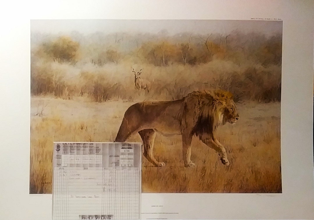 KIM DONALDSON Lion and Kudu, Hand Signed and Numbered (#688) Vintage ...