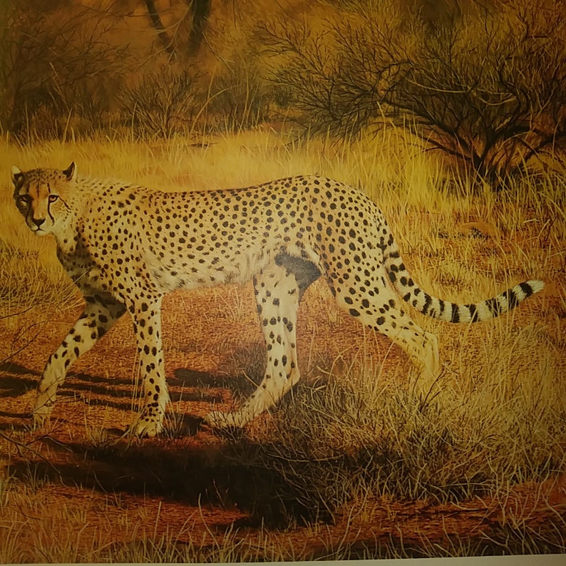 CHARLES FRACE "cheetah", Hand Signed Limited Edition, Vintage New 1977 ...