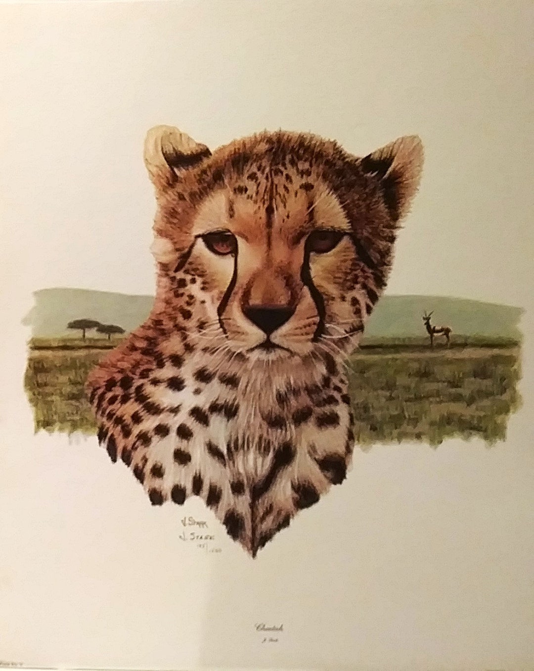 J Stark Cheetah Print, Signed Limited Edition 1977 - Etsy