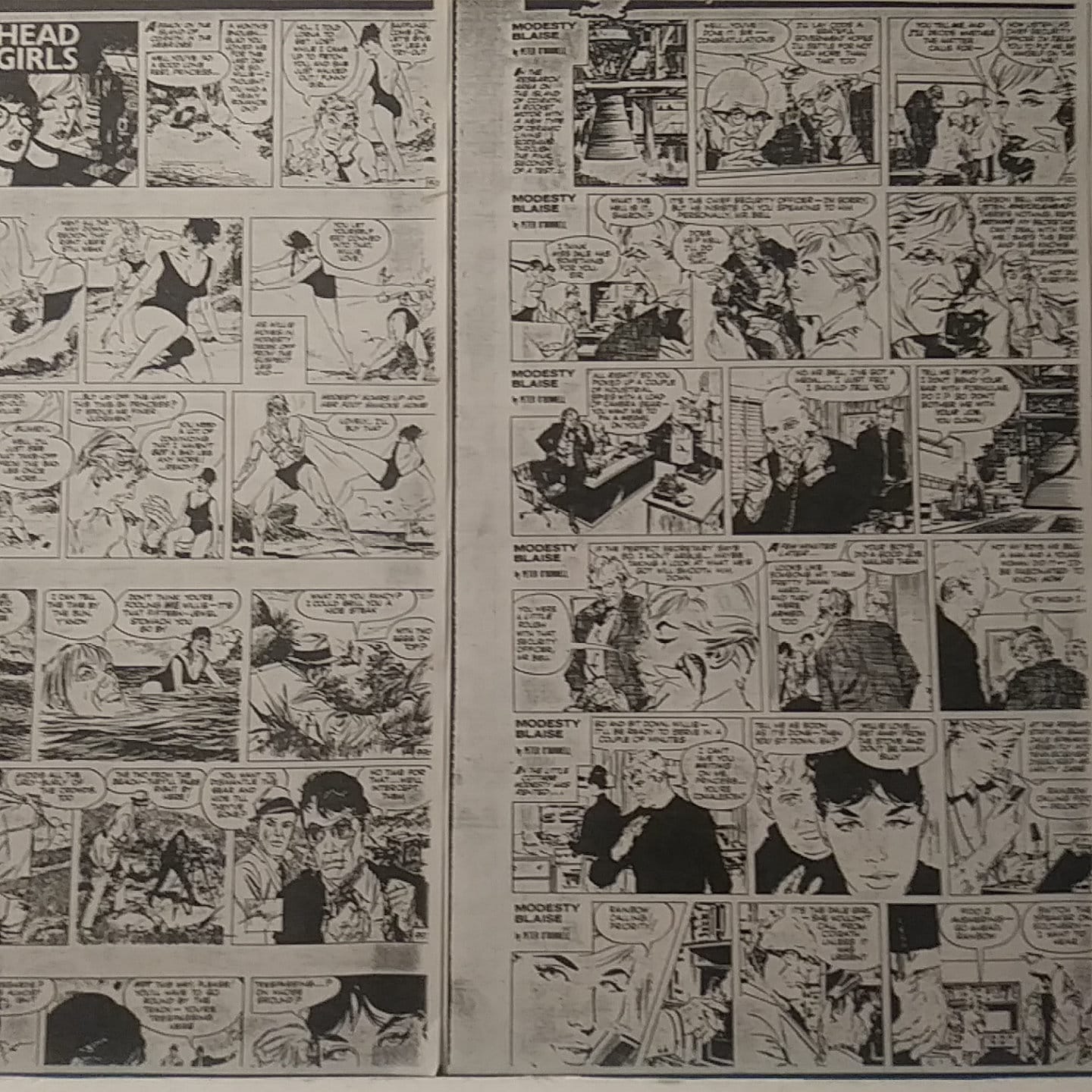 MODESTY BLAISE Daily Comic Strip Reproductions, #993-1349 and #1575-2162=945 Strips, MINT - Etsy