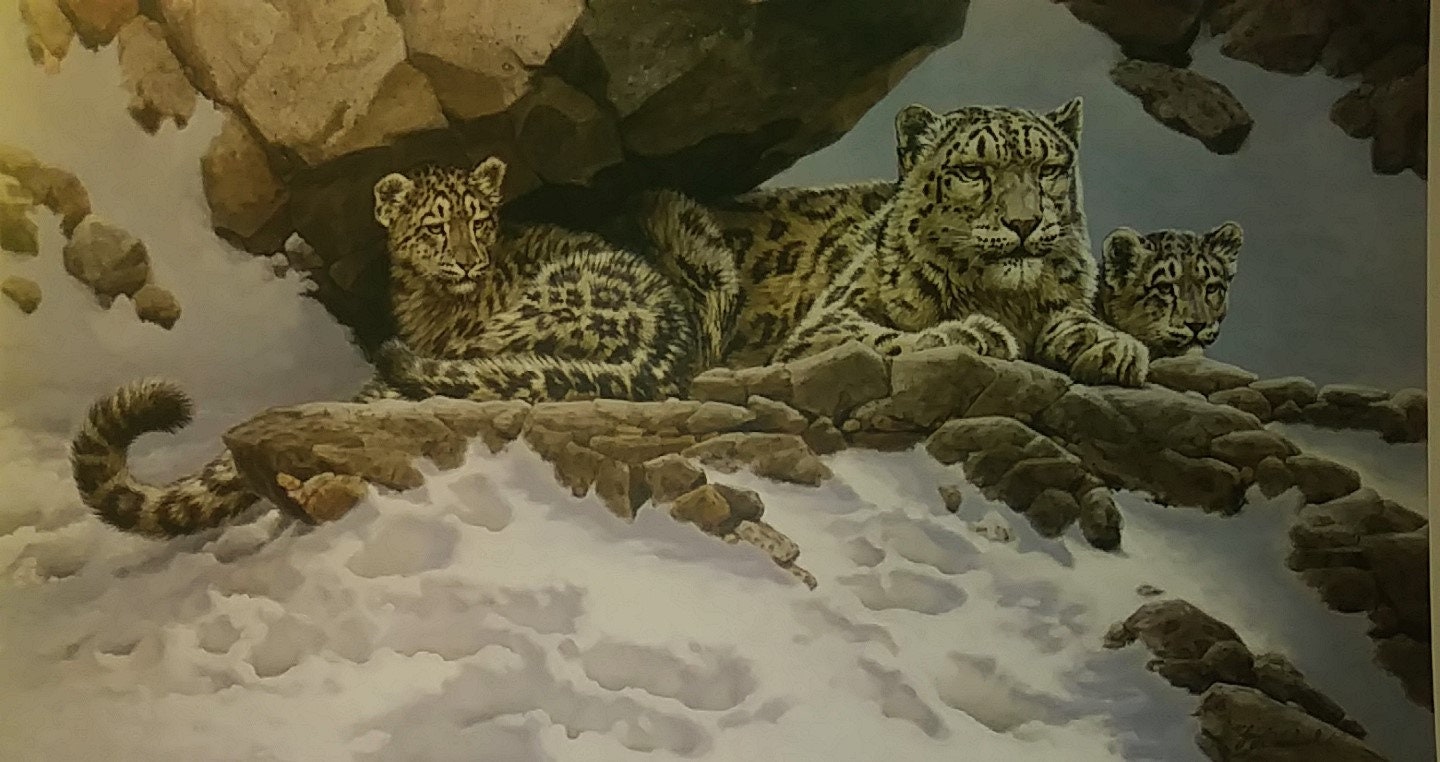 GUY COHELEACH Snow Leopards "den Mother", Hand Signed and Numbered (#547) Vintage New 1987 36x23 ...