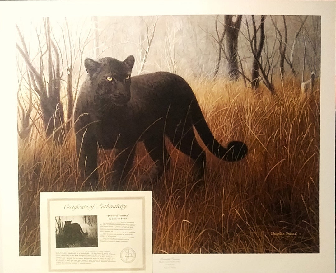 CHARLES FRACE Black Panther Leopard "powerful Presence", Hand Signed ...